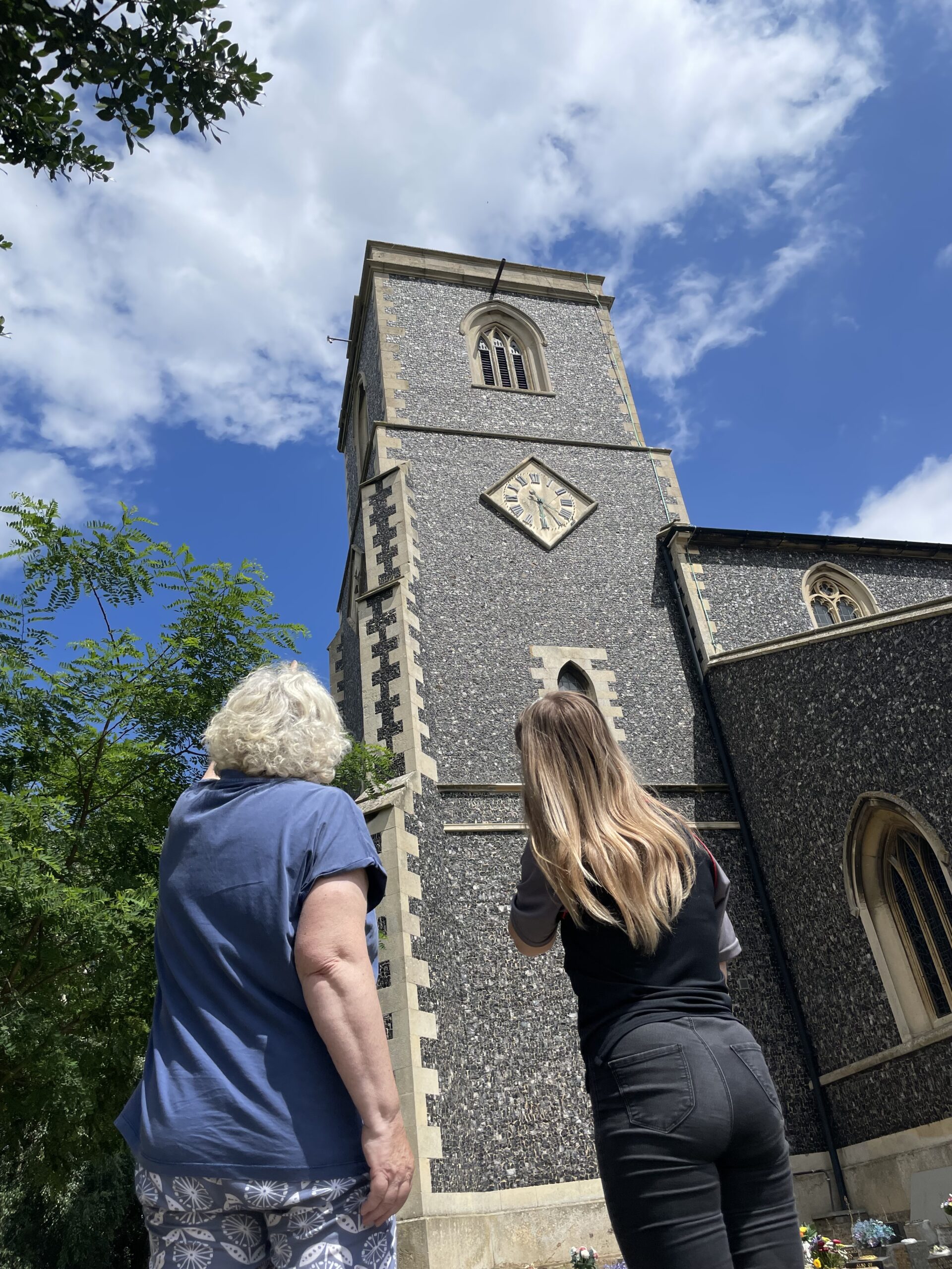 Lincs Rural | Swift Conservation - Lincs Rural